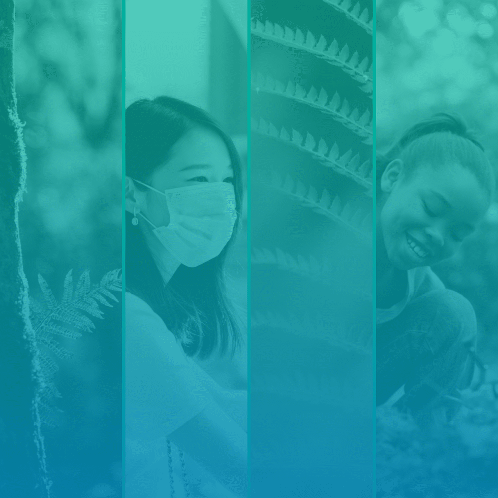 About Public Health - PHERN