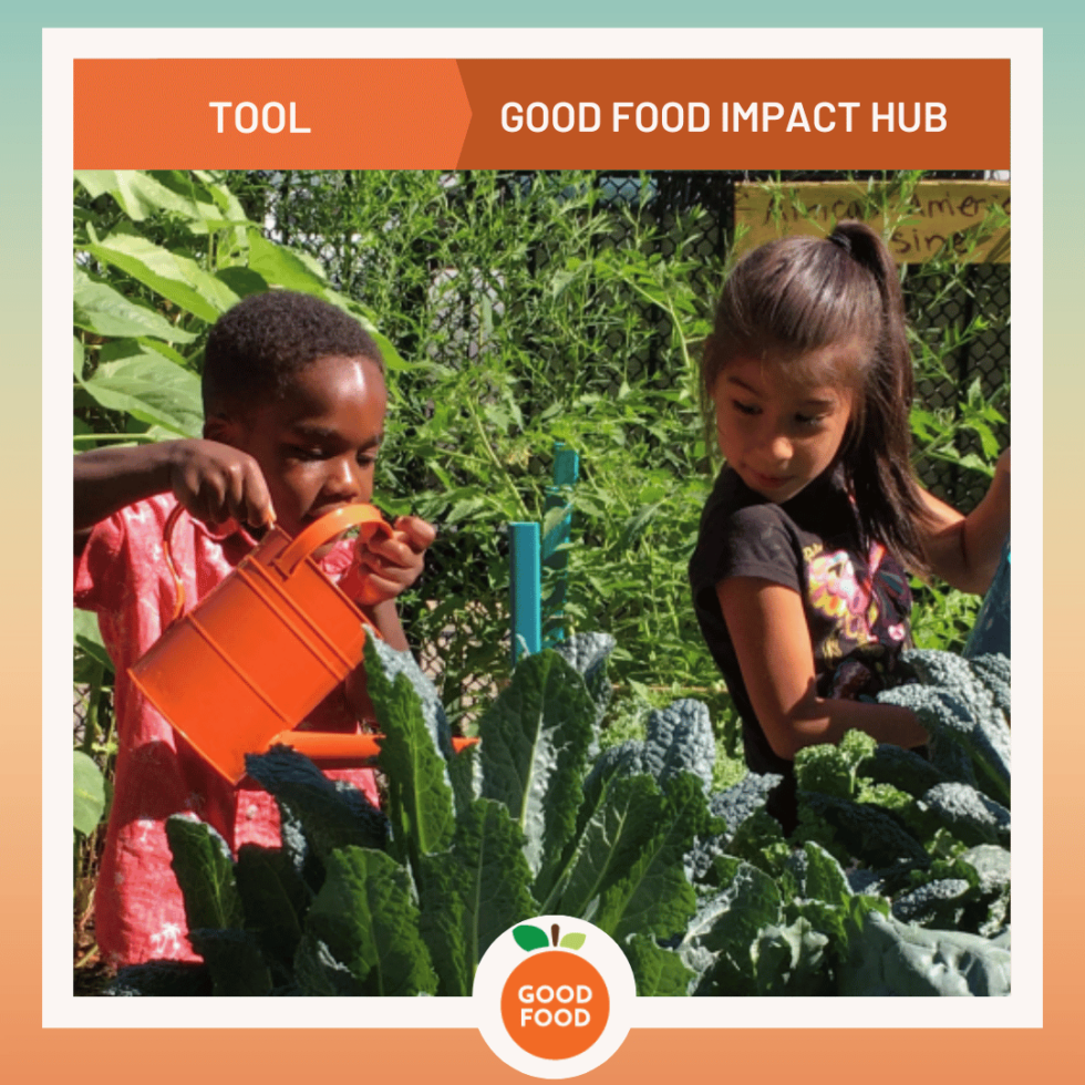 Advancing Policies for Nutrition and Food Security - PHERN